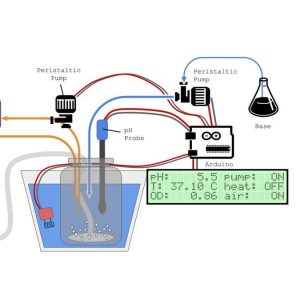 Research – Open Bioeconomy Lab