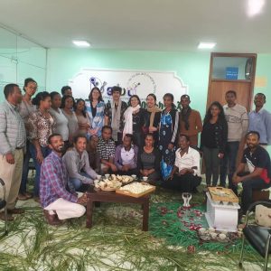 Research – Open Bioeconomy Lab