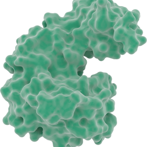 Open Enzyme Expression Guide – Open Bioeconomy Lab