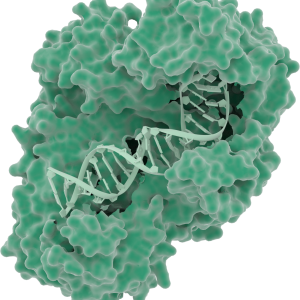 Open Enzyme Expression Guide – Open Bioeconomy Lab